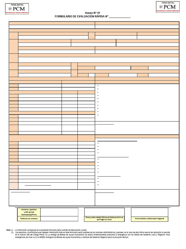 Formatos Edan 2024 | PDF