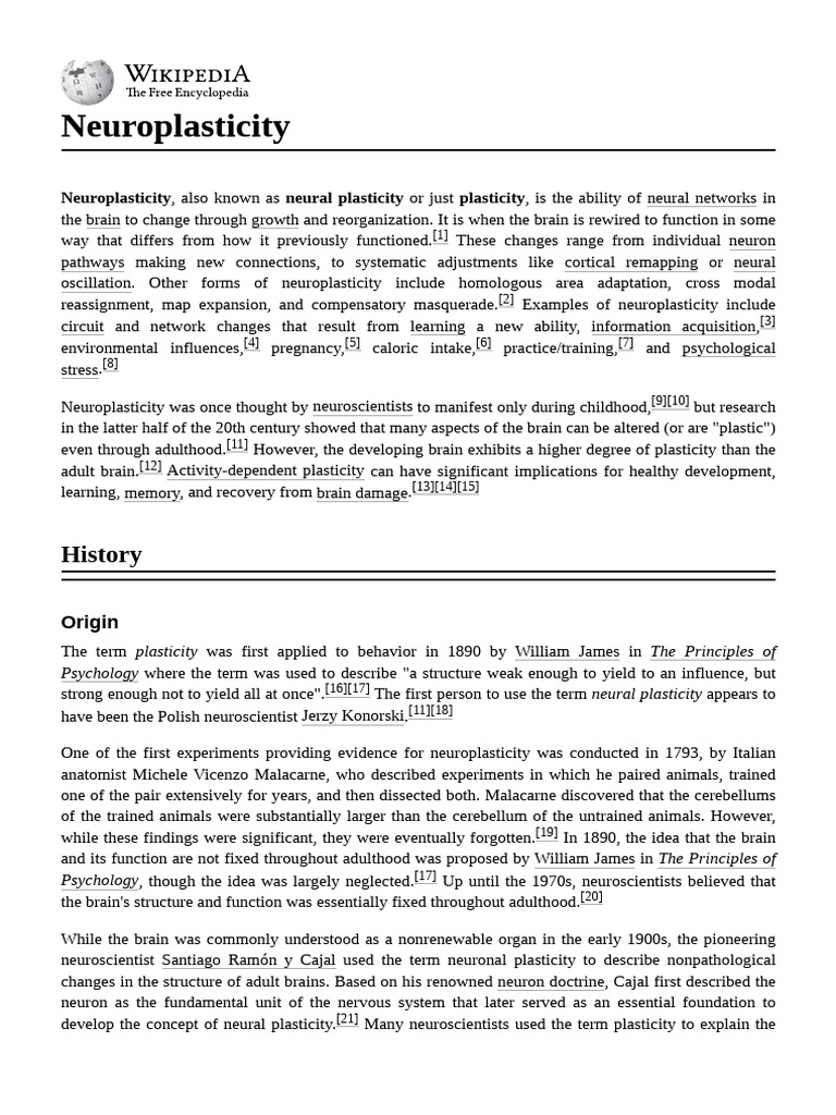 Neuroplasticity | PDF | Neuroplasticity | Brain