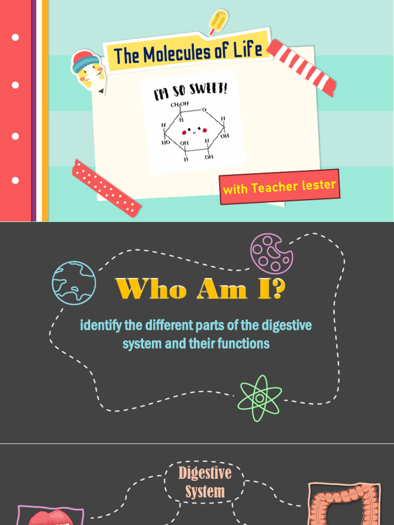 Q2 - L4 - Organic Compounds - Biomolecules - GEN CHEM 1 | PDF ...