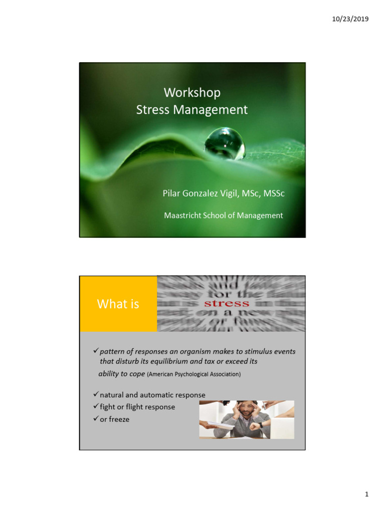 Stress Management Workshop Handout | PDF | Stress (Biology ...