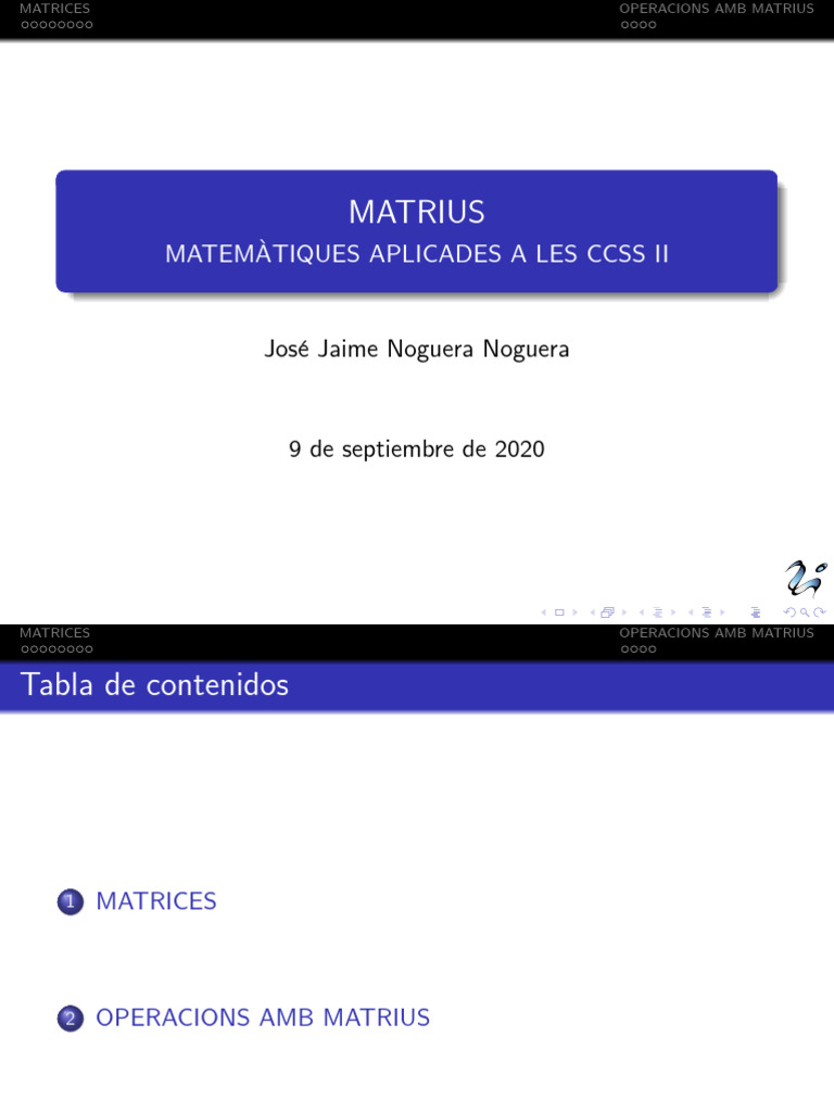 matrius-v0 | PDF | Matriz (Matemáticas) | Matemáticas