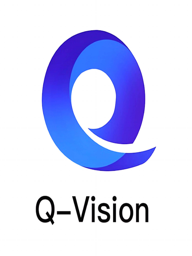 Q Vision | PDF