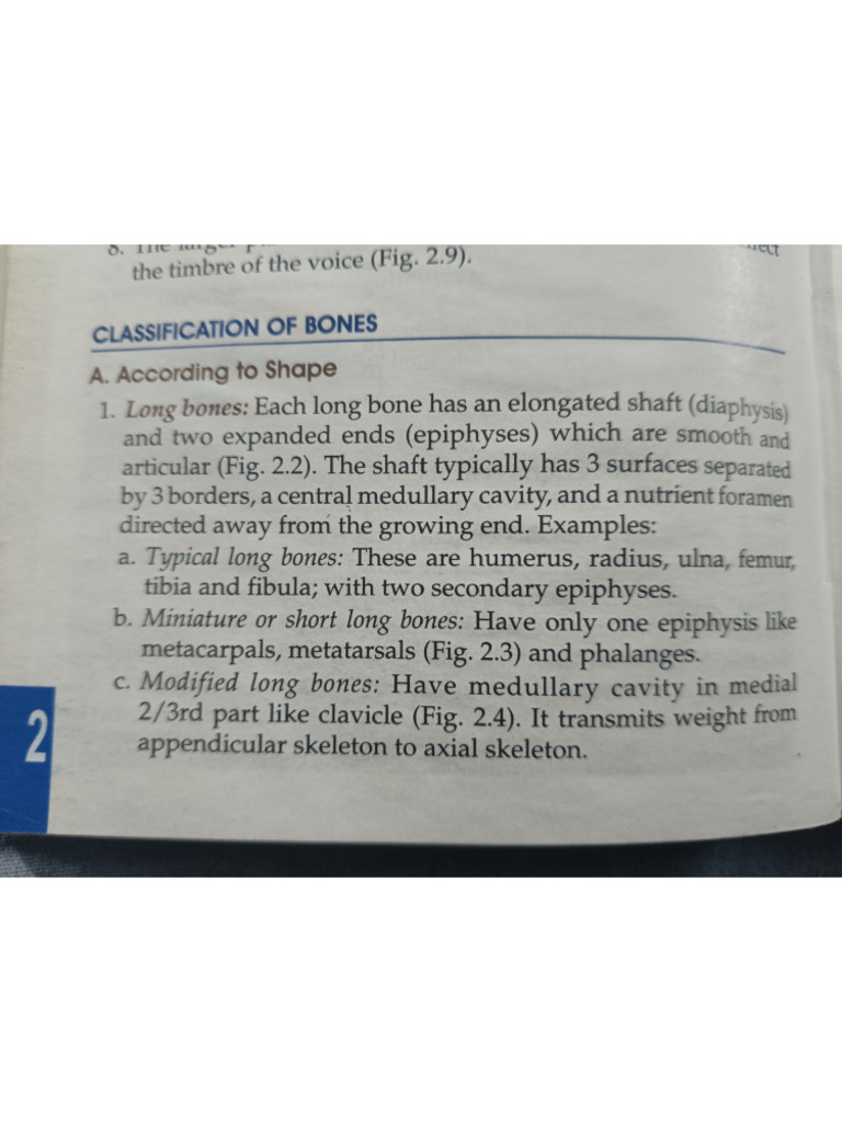Classification of Bones | PDF