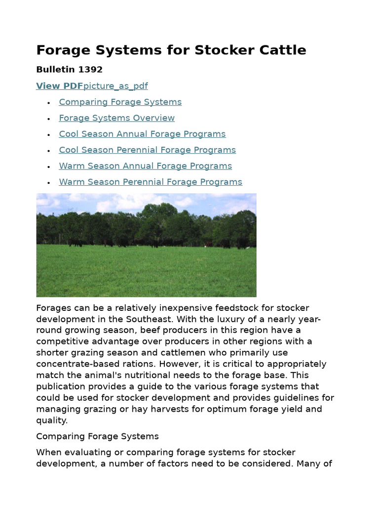 Forage Systems For Stocker Cattle | PDF | Grazing | Rye