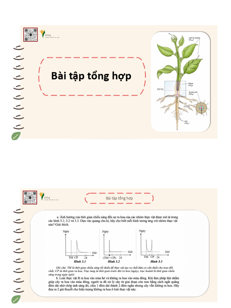 BT Tổng Hợp b4 + b5 | PDF