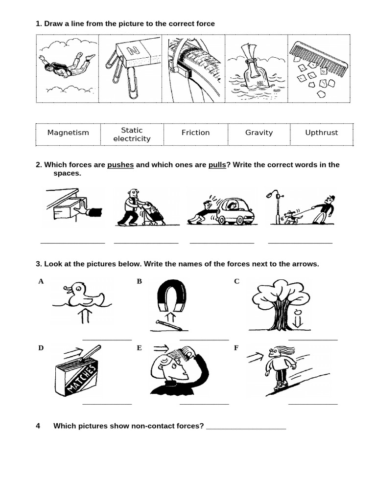 l1_forces_worksheet | PDF