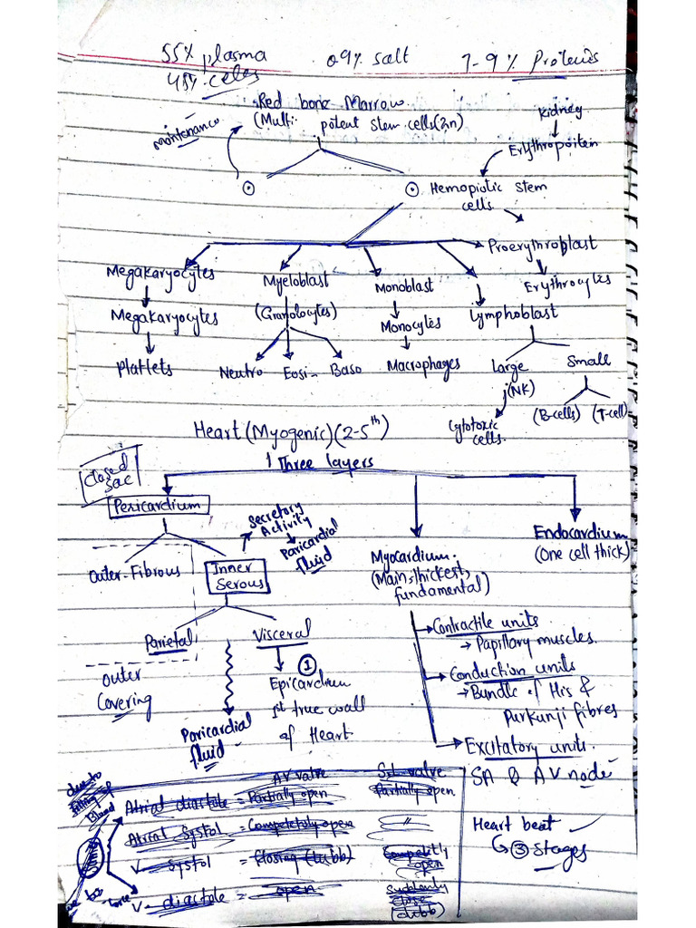 Life Processes In Animals Transport Immunity Pdf