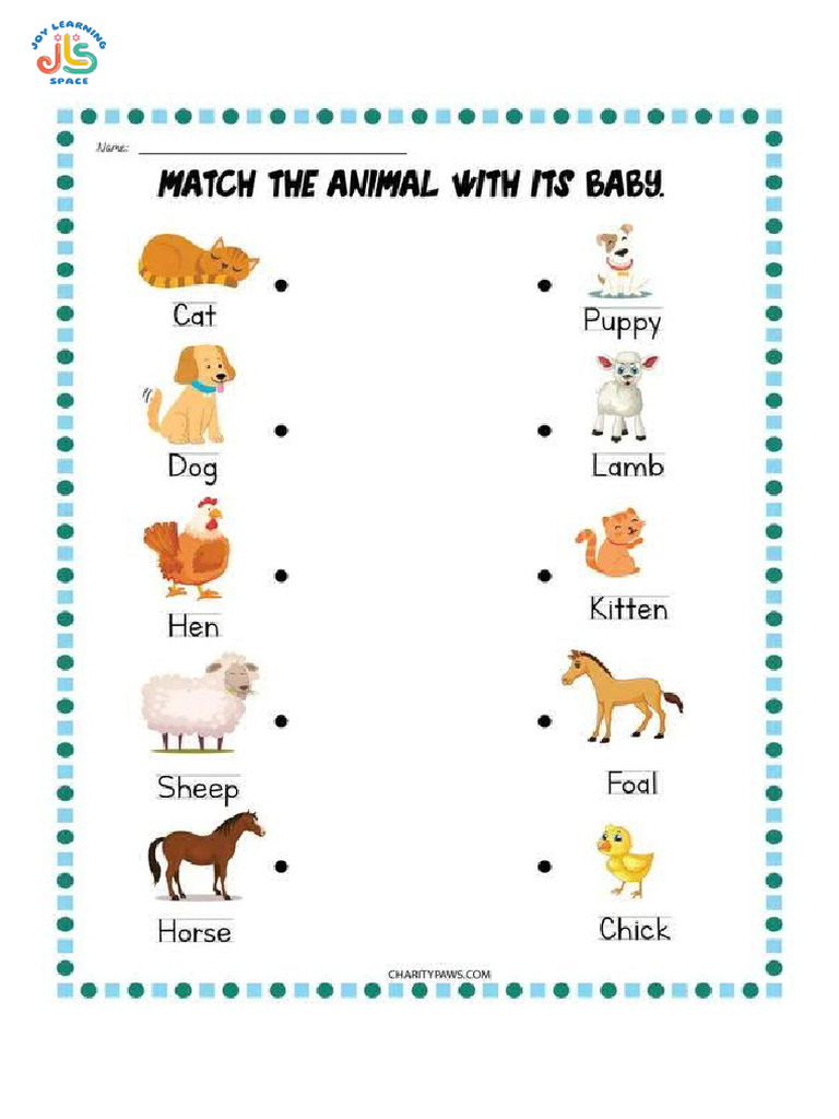 animals baby worksheet | PDF
