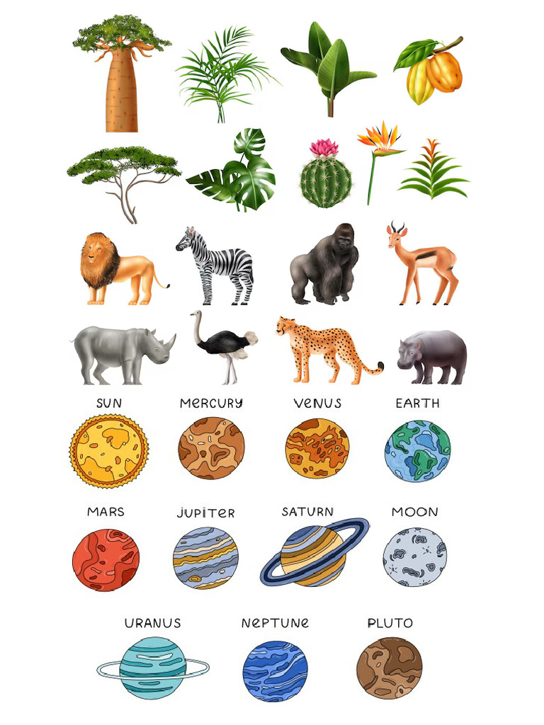 Document From Anshul Gautam | PDF