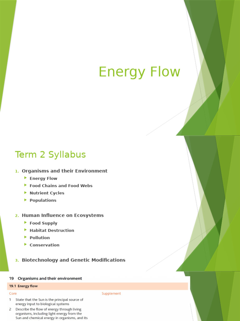 19. Energy Flow | PDF | Carbon Dioxide | Foods