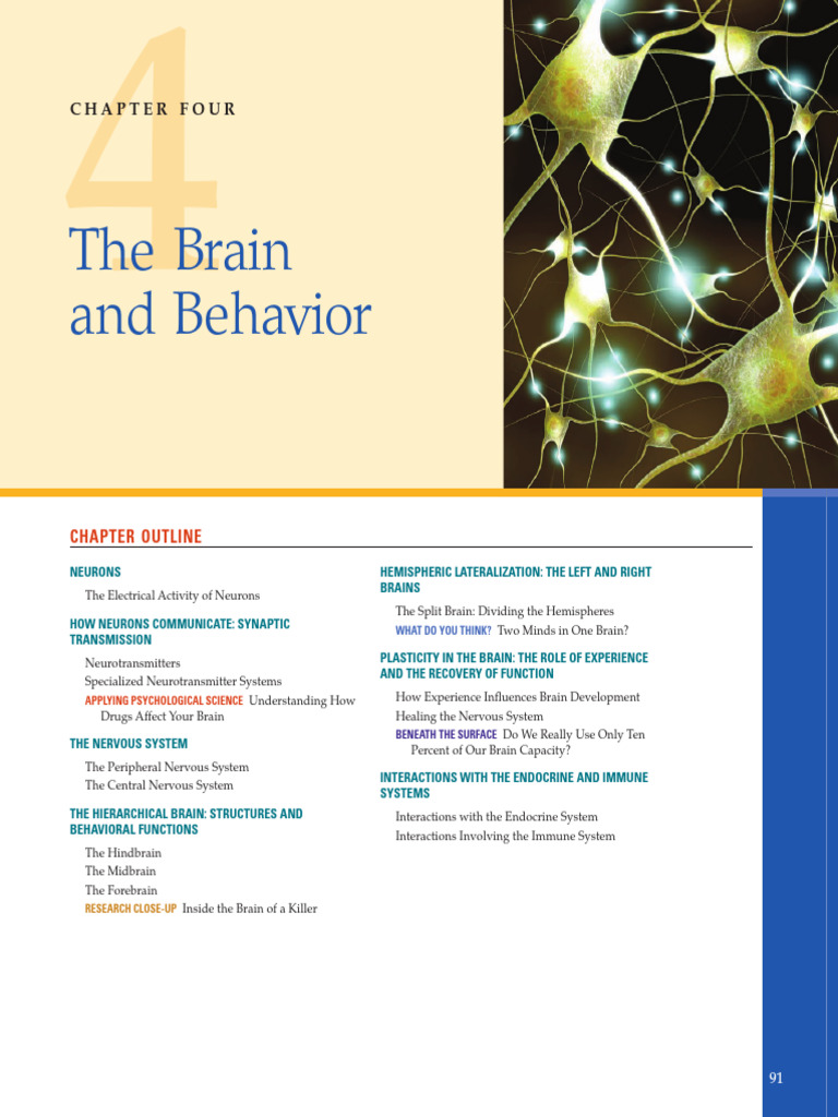 Brain and Behaviour Chapter 4 | PDF | Action Potential | Neurotransmitter