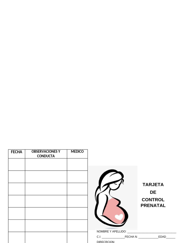 Formato de Embarazada | PDF