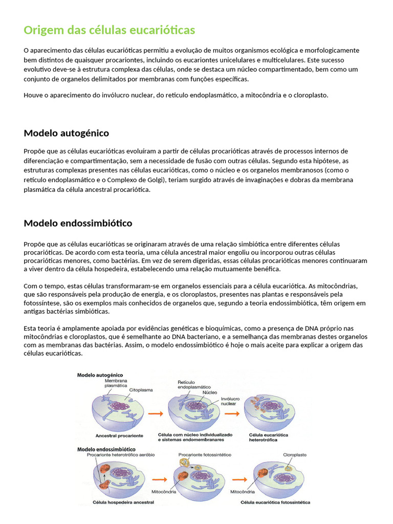 Origem e Classificação das Células Eucarióticas | PDF | Célula ...