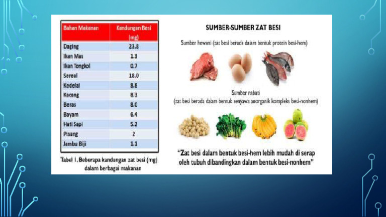 Sumber Zat Besi | PDF