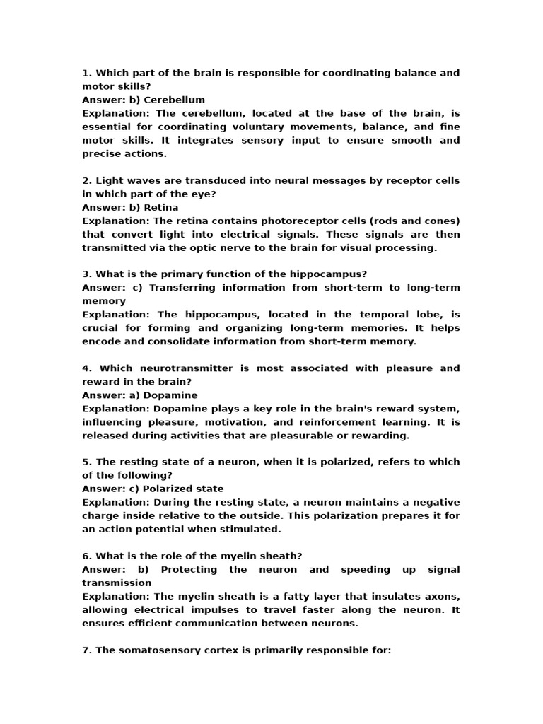 exercises | PDF | Perception | Neuron