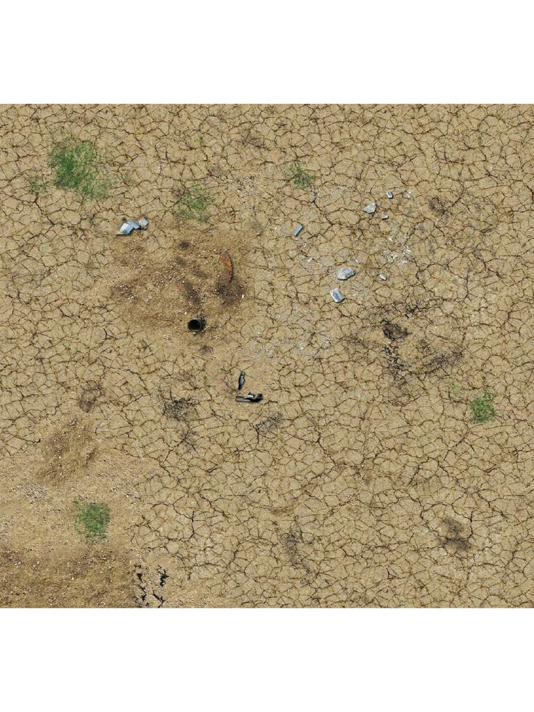 Desert Terrain Sepia | PDF