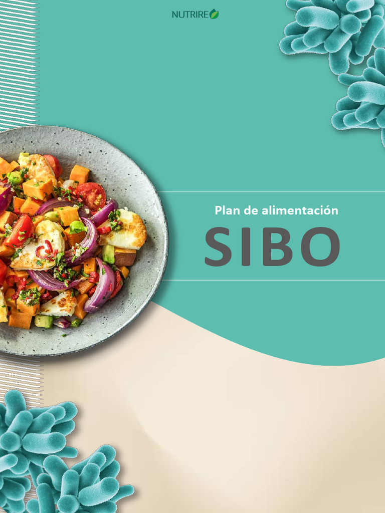 Plan de Alimentación para SIBO | PDF | Alimentos | Trigo