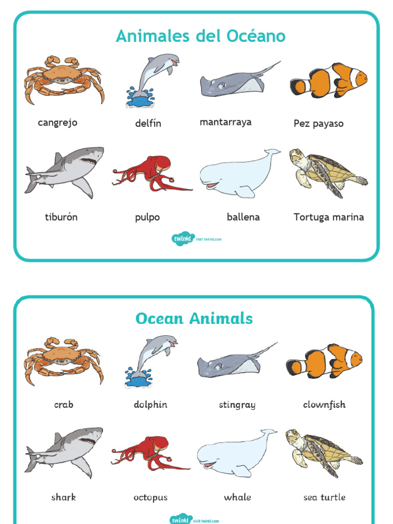 Animales Del Oceano | PDF