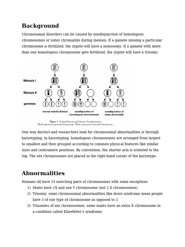 Karyotyping Assignment | PDF | Chromosome | Karyotype