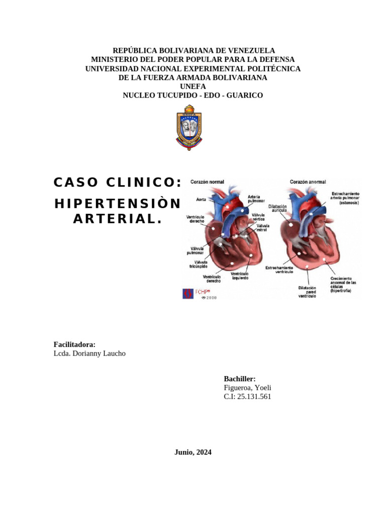 Caso Clinico de Hipertension de Yoelis | PDF | Hipertensión ...