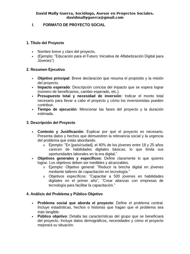 Formato de Proyecto | PDF | Inversiones | Business