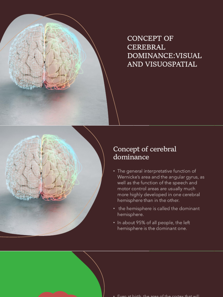Cerebral Dominance Ppt | PDF
