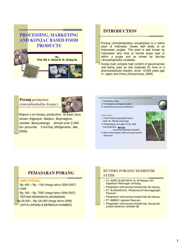 Konjac SBW Process | PDF