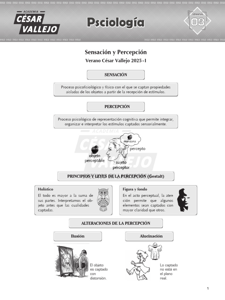 PS VCV Dir Sem03 | PDF | Percepción | Sicología
