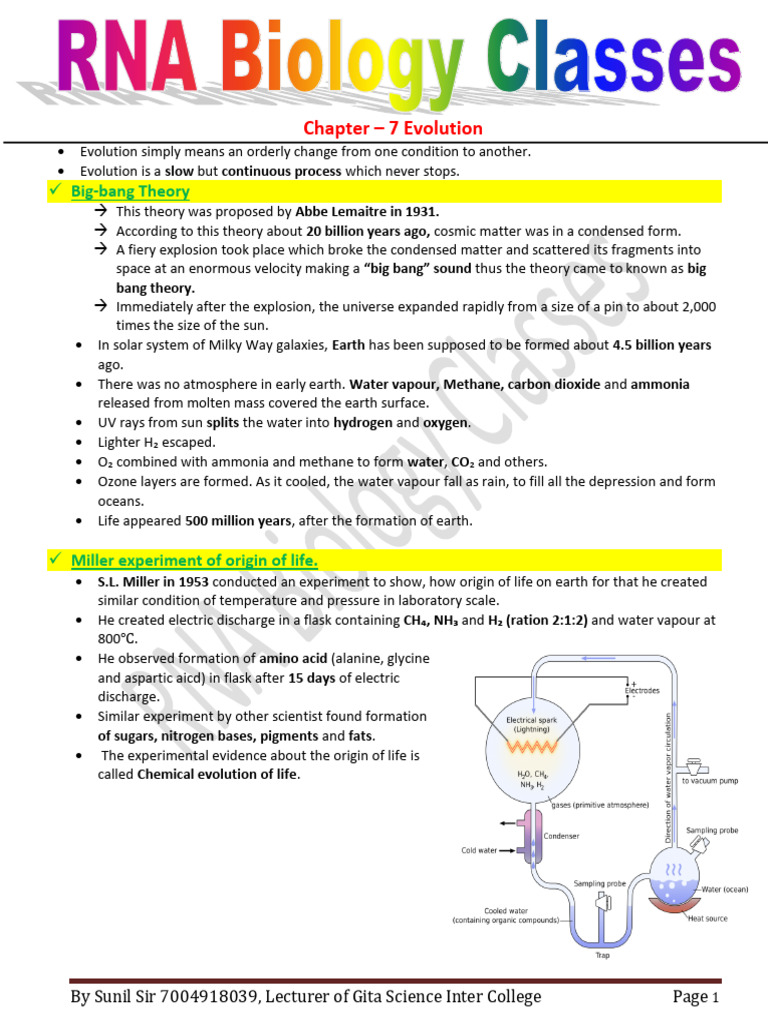 Chapter 7 EVOLUTION - Gsic | PDF | Homo | Human Evolution