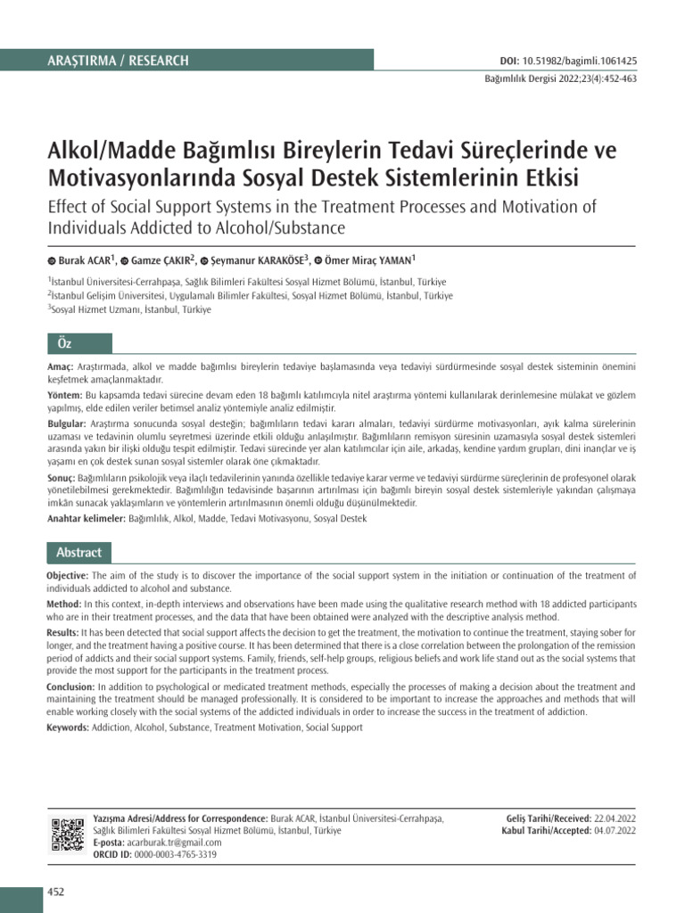 Alkol Ve Madde - Sosyal Destek Sistemlerinin Etkisi | PDF