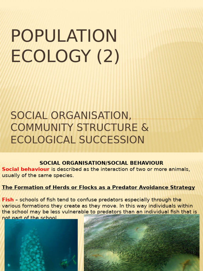 Population Ecology 2 | PDF | Predation | Herd