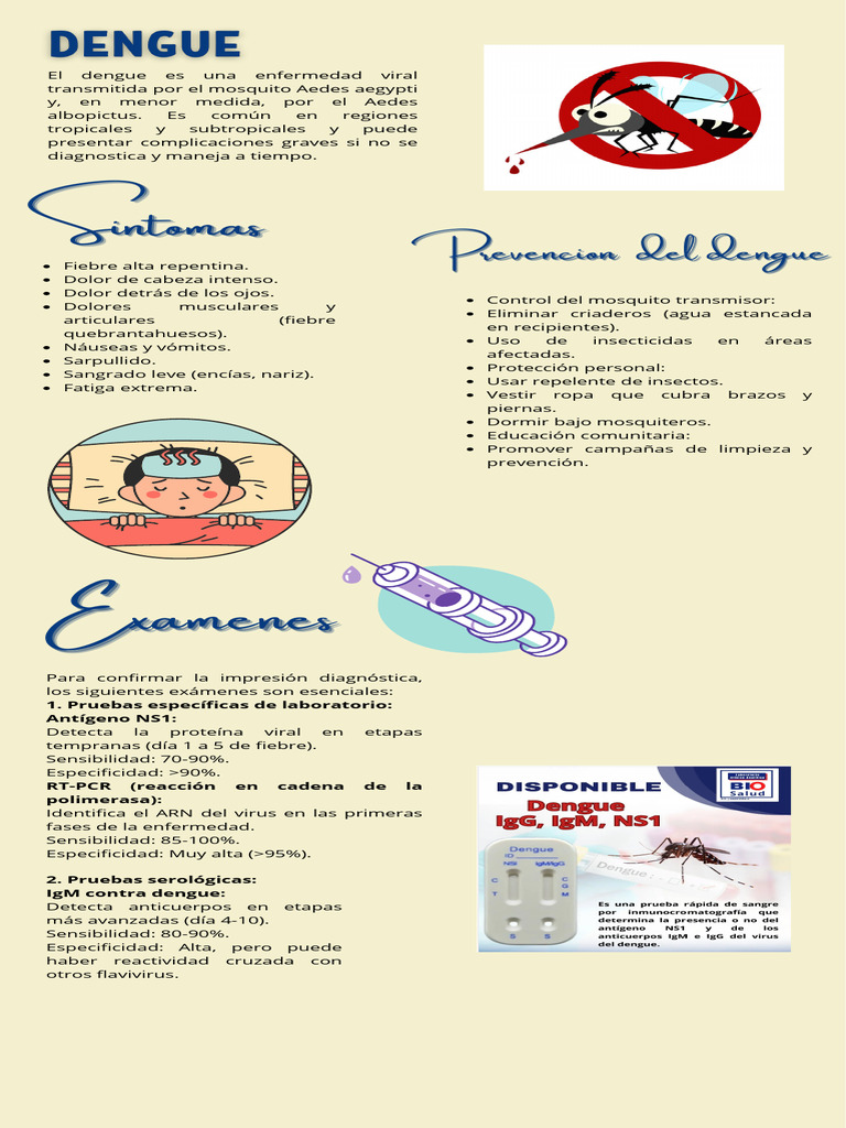 Infografia DENGUE | PDF