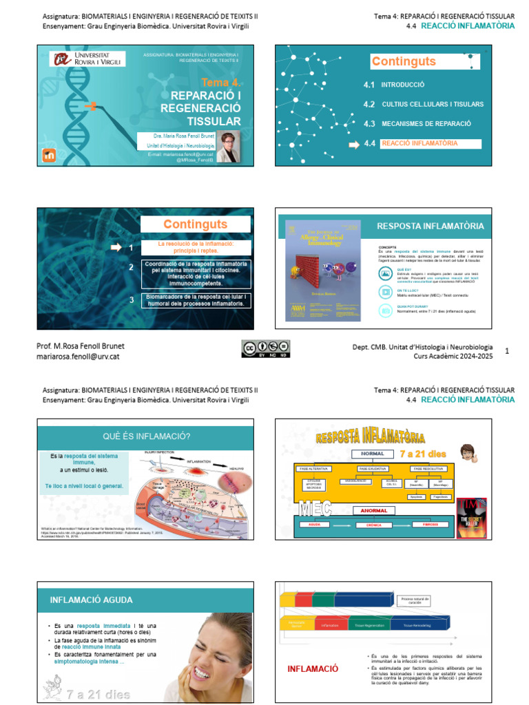 BEIRT_Tema 4_4_Resposta inflamatoria | PDF