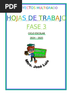 Fase 3 Plan Analitico 2ndo Grado 2024-2025 | PDF | Metacognición ...