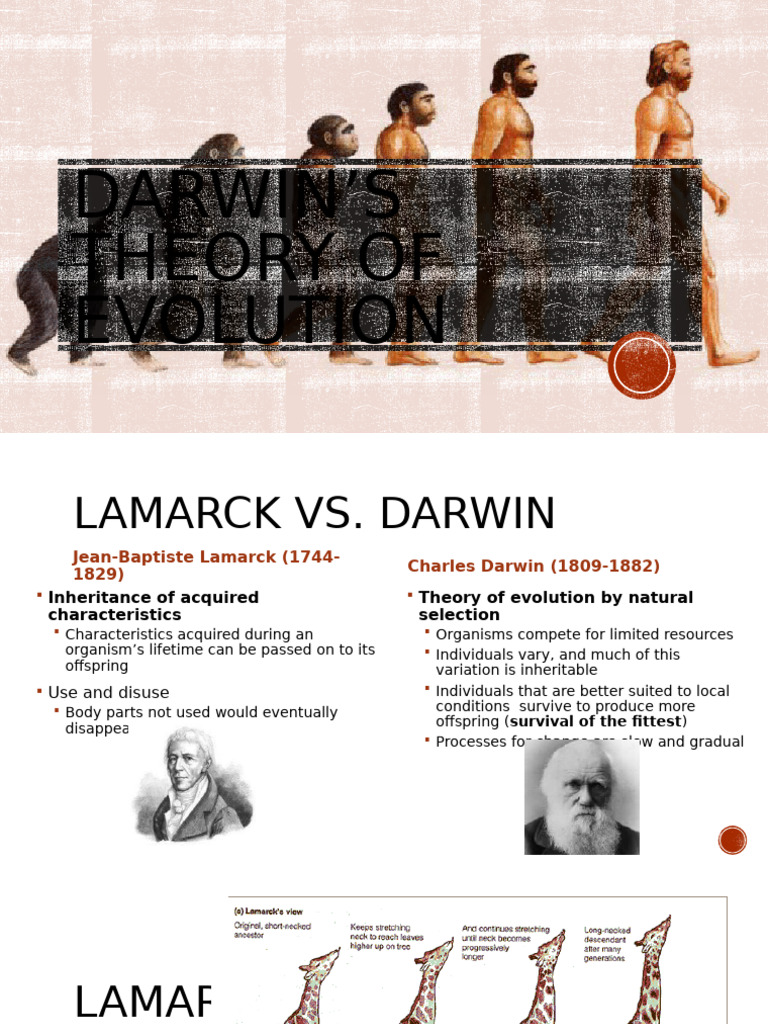 8.1 Darwin’s Theory of Evolution | PDF