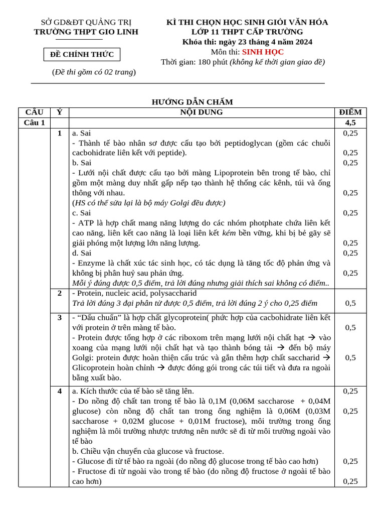 Đáp Án Đề Tk 4-Si11 | PDF