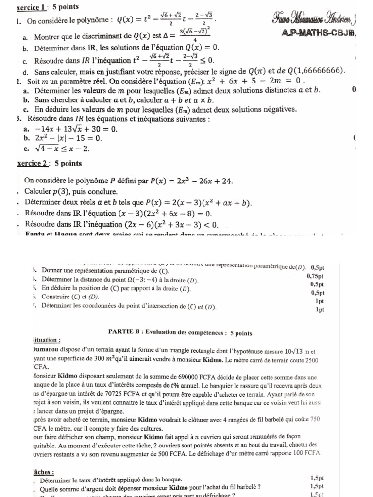 ACE Scanner_2024_10_30 (1) | PDF