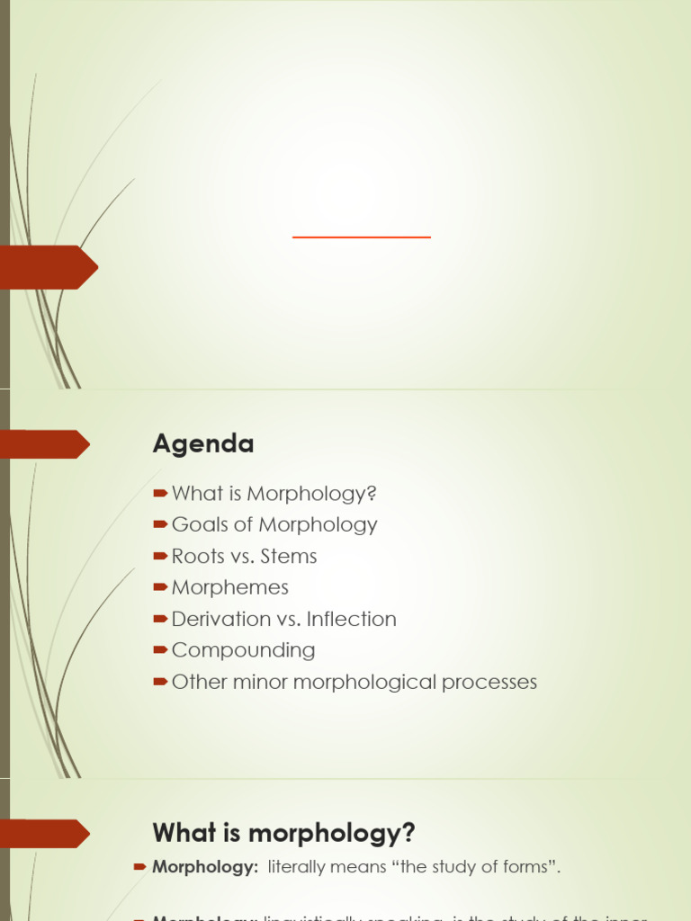 Morphology in linguistics | PDF | Morphology (Linguistics) | Word Morphology in linguistics | PDF | Morphology (Linguistics) | Word