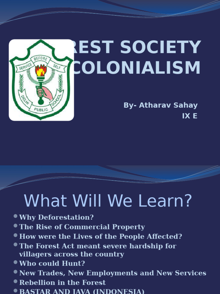 Forest Society and Colonial Impact | PDF | Deforestation | Forests