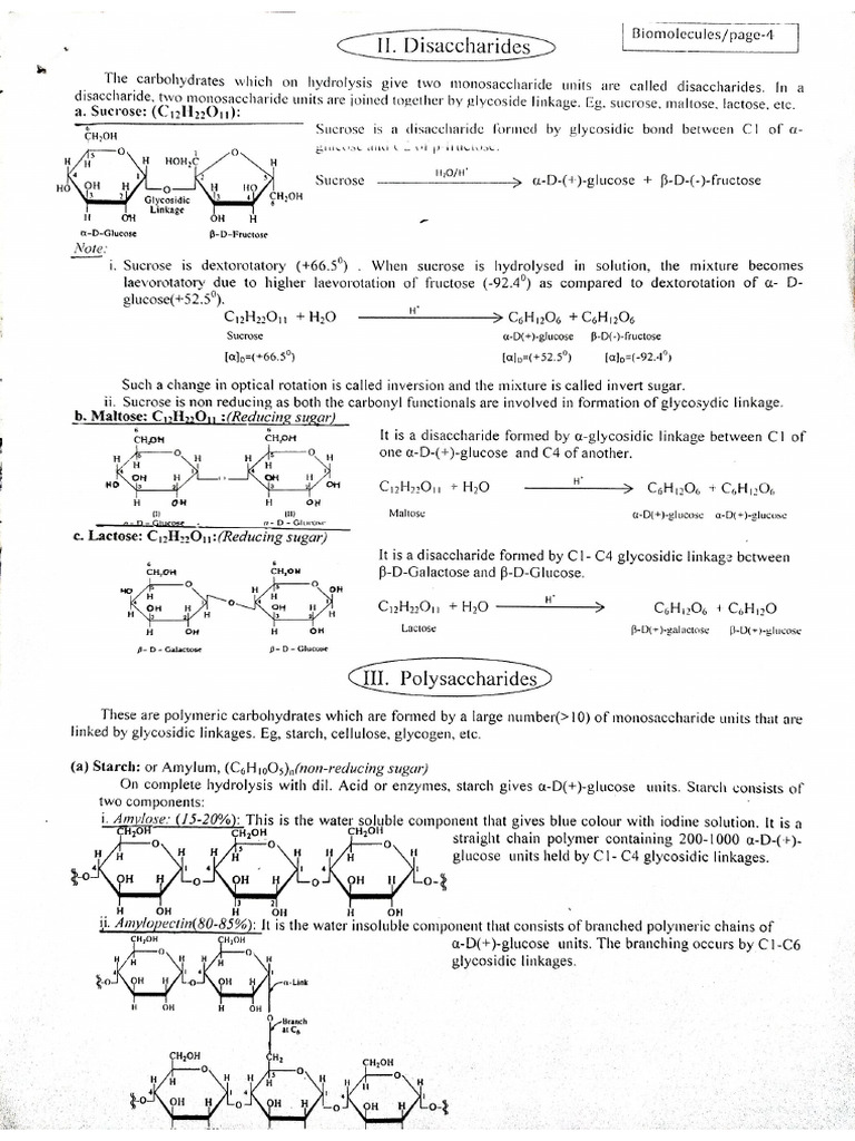 Biomolecules | PDF