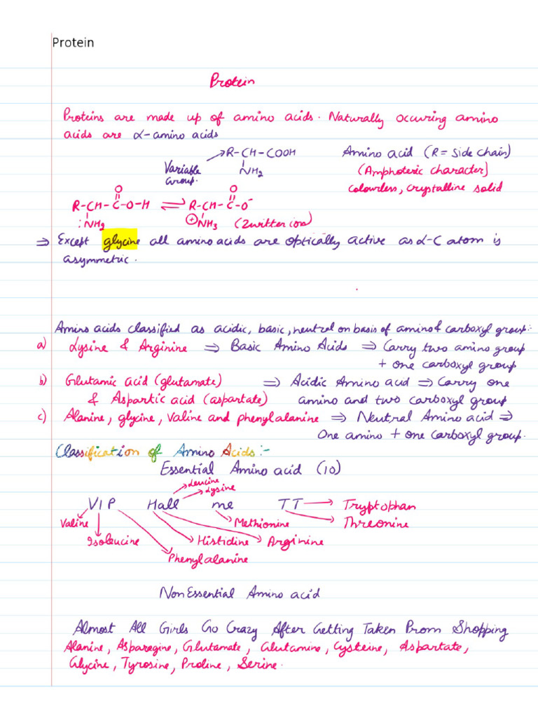 Protein | PDF