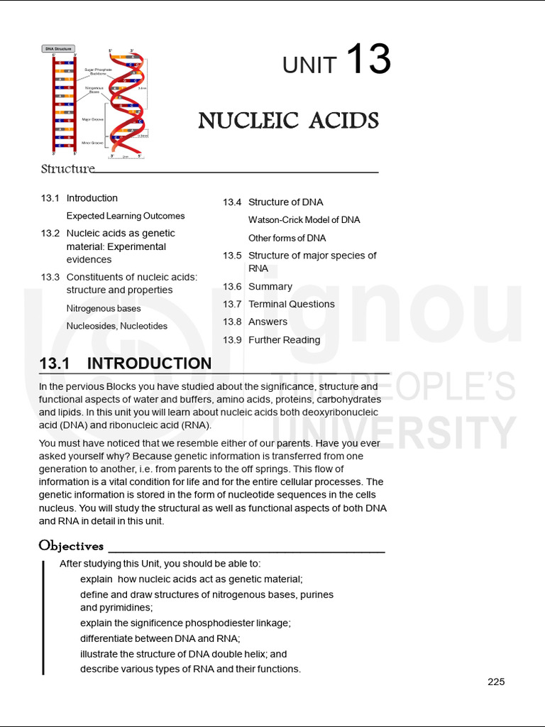 Unit-13 nucleic acids | PDF | Rna | Nucleotides