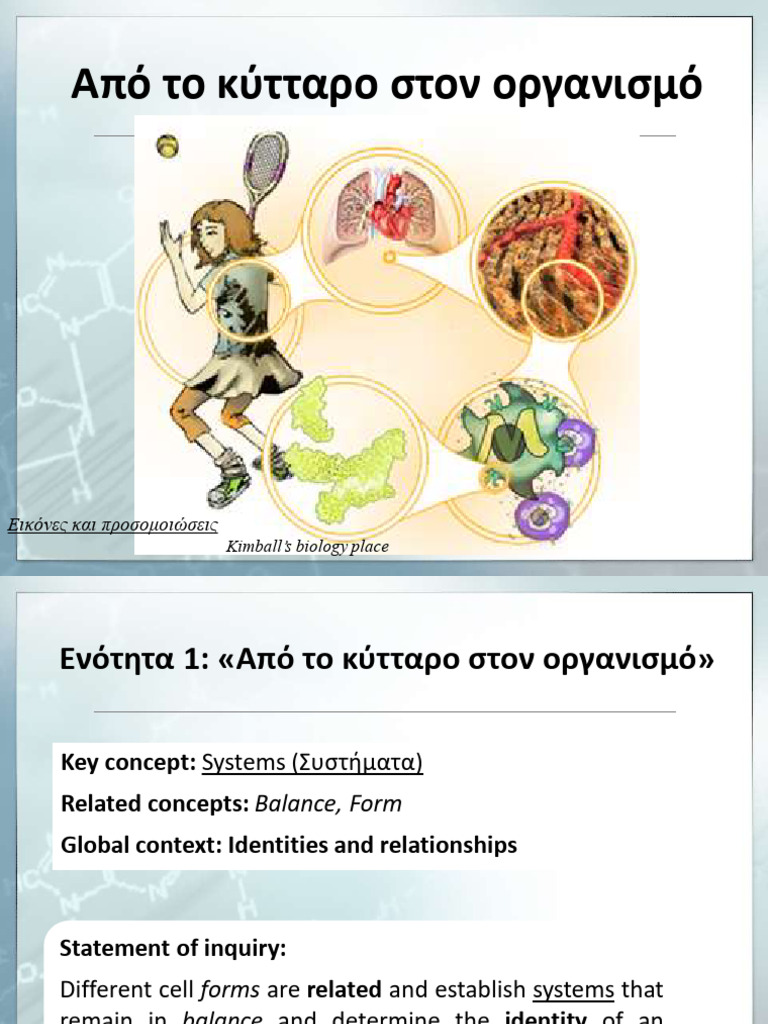 A ΛΥΚΕΙΟ Από το κύτταρο στον οργανισμό | PDF