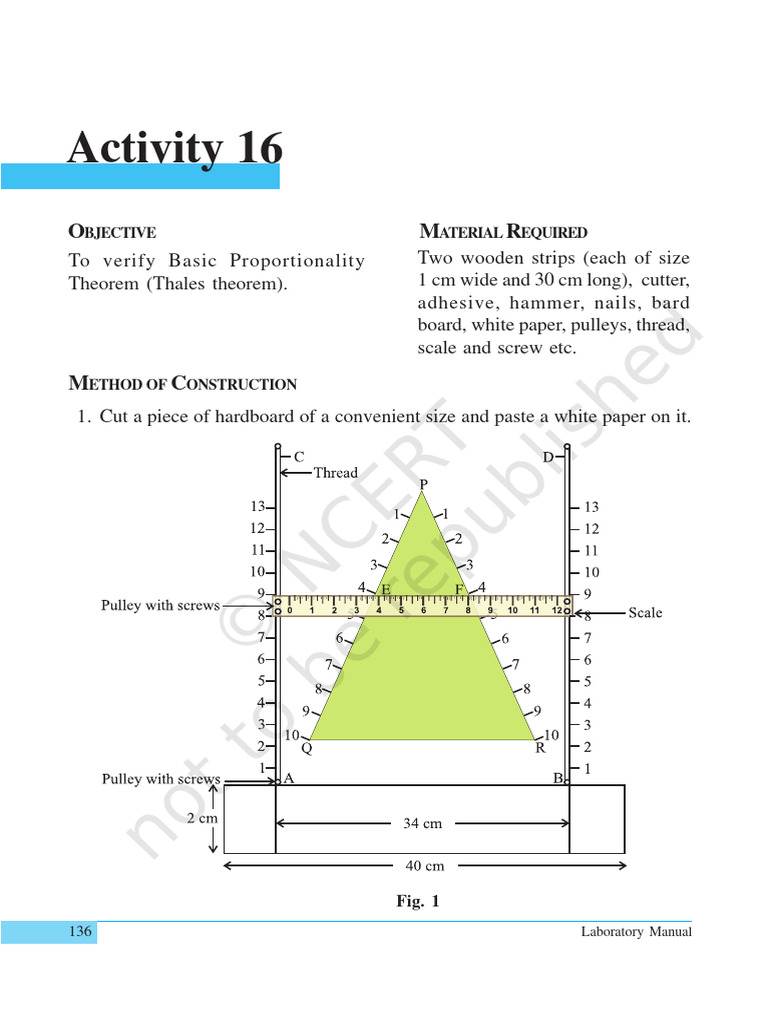 10 Lab Activity 16 Basic Proportionality Theorem (BPT) | PDF ...