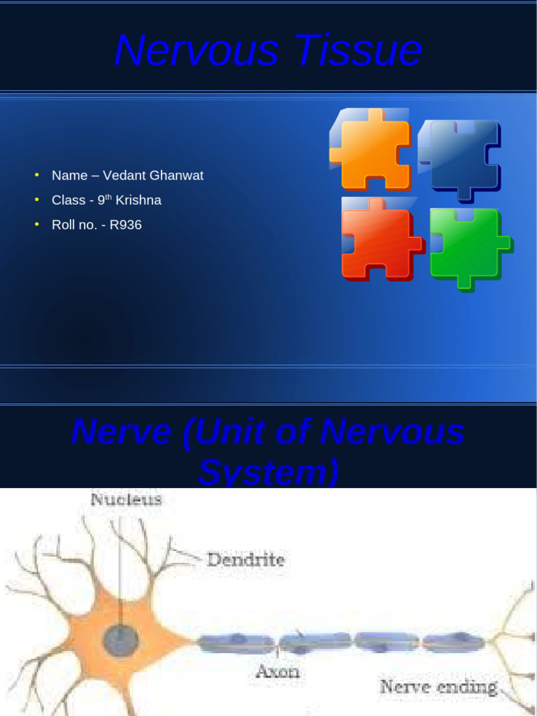 Structure and Function of Nervous Tissue | PDF