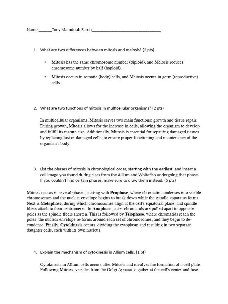 Tony Mitosis and Meiosis Post Lab | PDF | Mitosis | Meiosis