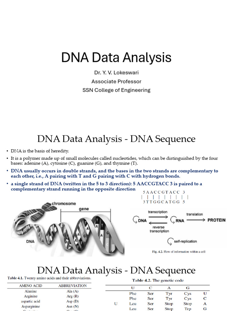 Lecture3-DNA Data Analysis | PDF | Open Reading Frame | Dna
