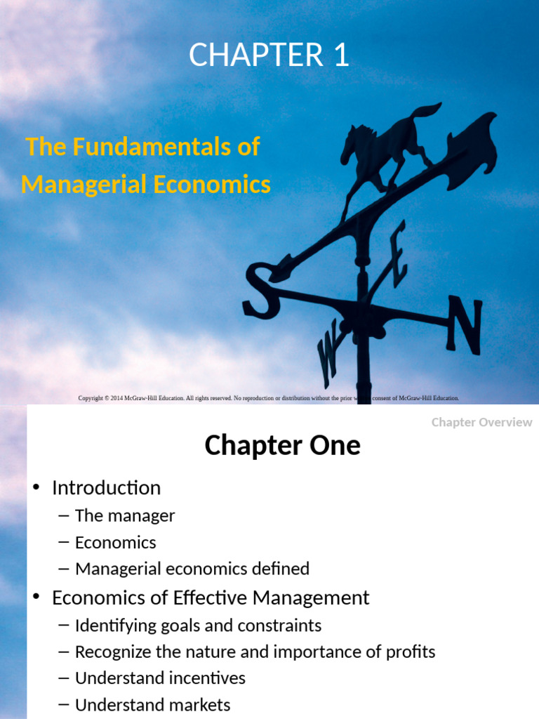 The Fundamentals of Managerial Economics | PDF | Present Value | Profit ...