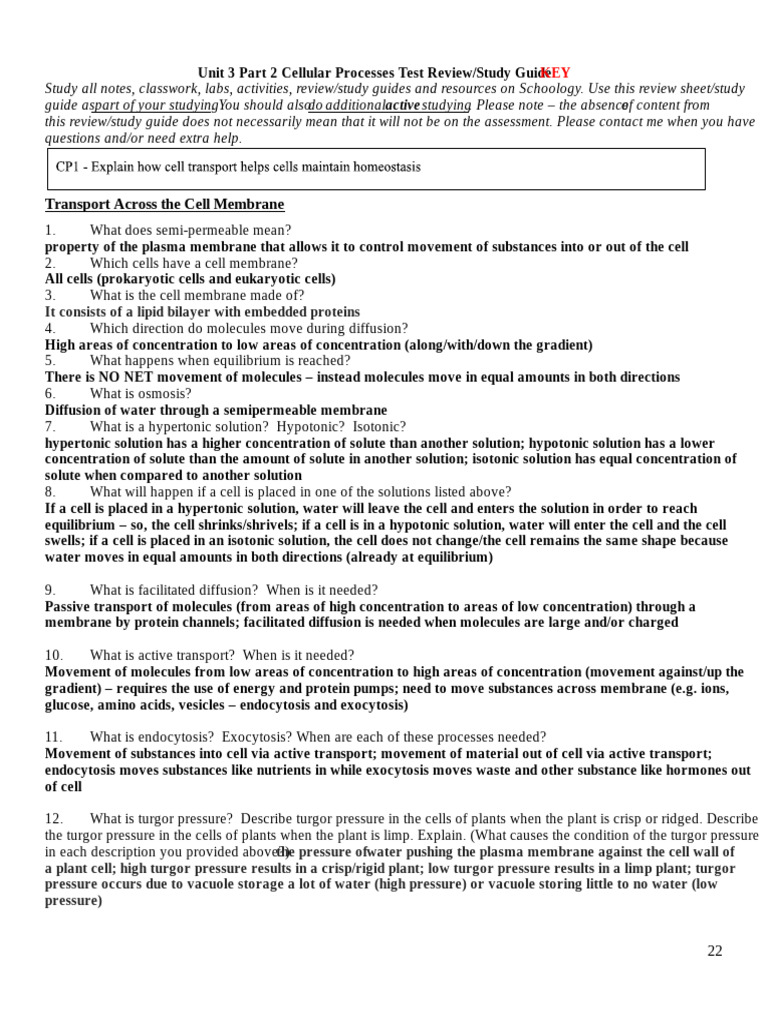 Unit 3 Cellular Processes Study Guide | PDF | Cellular Respiration ...