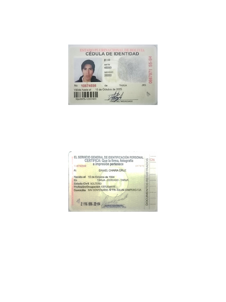 Carnet Daniel Chaira Cruz | PDF